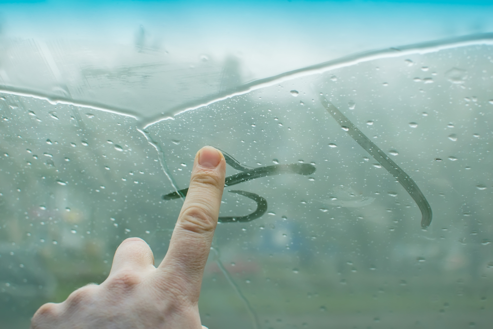 Finn Lamex windscreen guide | Finn Lamex